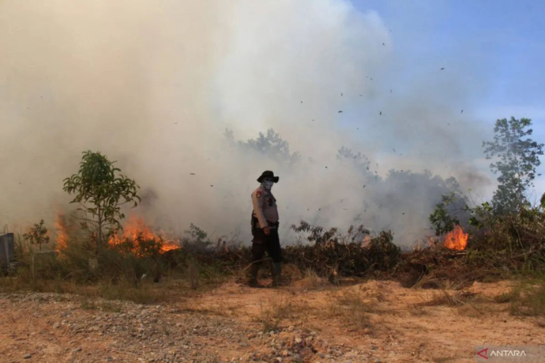 Titik Api di Riau Meningkat: 72 Titik Terdeteksi di Provinsi Riau Titik Api di Riau Meningkat: 72 Titik Terdeteksi di Provinsi Riau