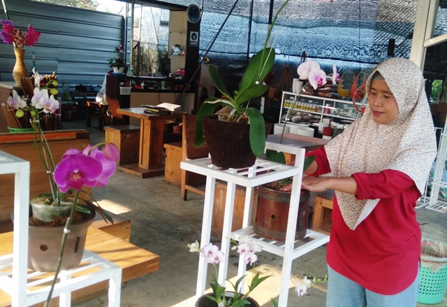 Wisata Argo Budaya Anggrek di Penggarit Diklaim Terbesar se-Jawa Tengah